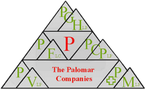 The Palomar Companies: Financial, Medical, Group Holdings